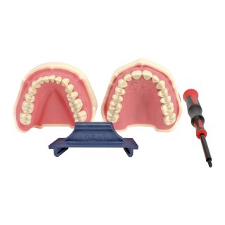 Frasaco Modell ANKA-4V OK+UK St, 202,08